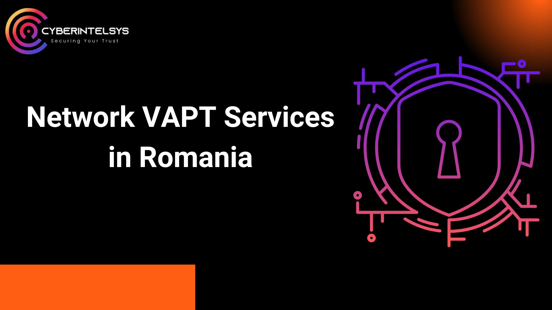 Network VAPT Services in Romania - Cyberintelsys